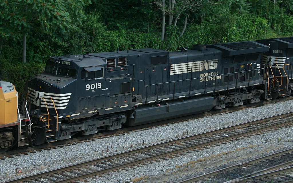 NS 9019
